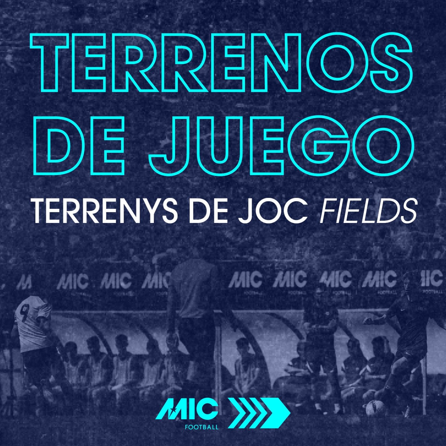 MICFootball 2023 fields have been released: take a look here